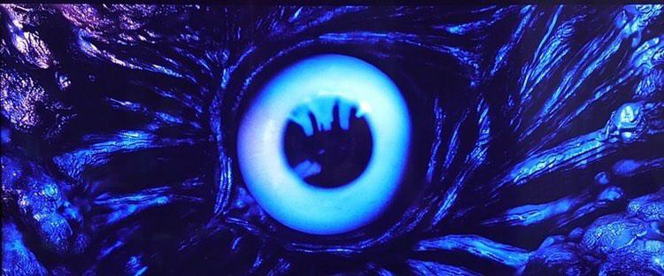 Godzilla Eye
