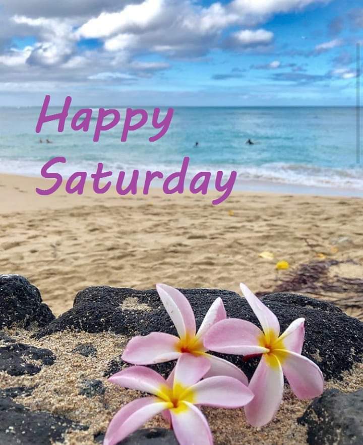 Happy Saturday Beach