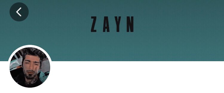 Zayn Malik Twitter Icons