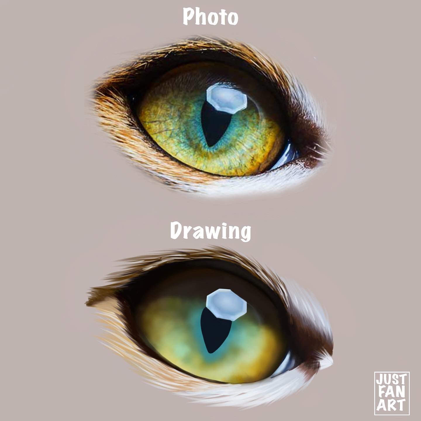 Humans With Cat Pupils