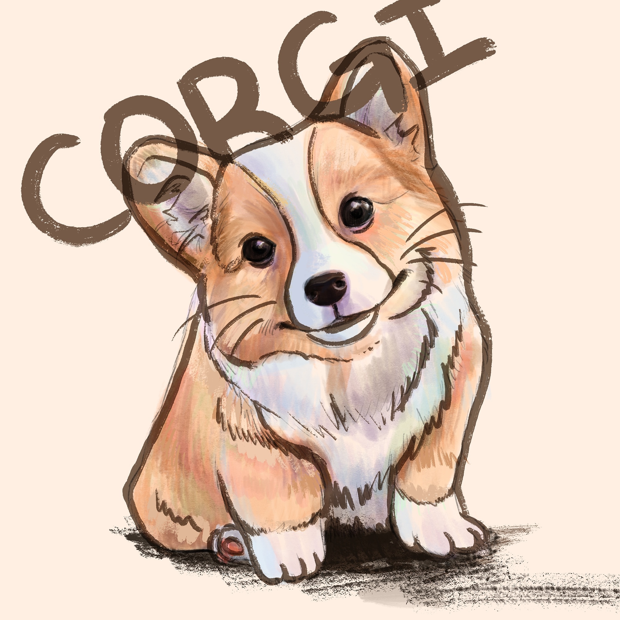 Corgi Pencil Drawing