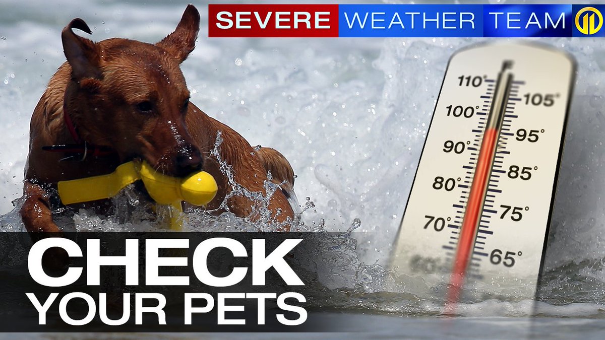 We're in it now folks, a MAJOR heat wave! ??With it being so hot, don't ...