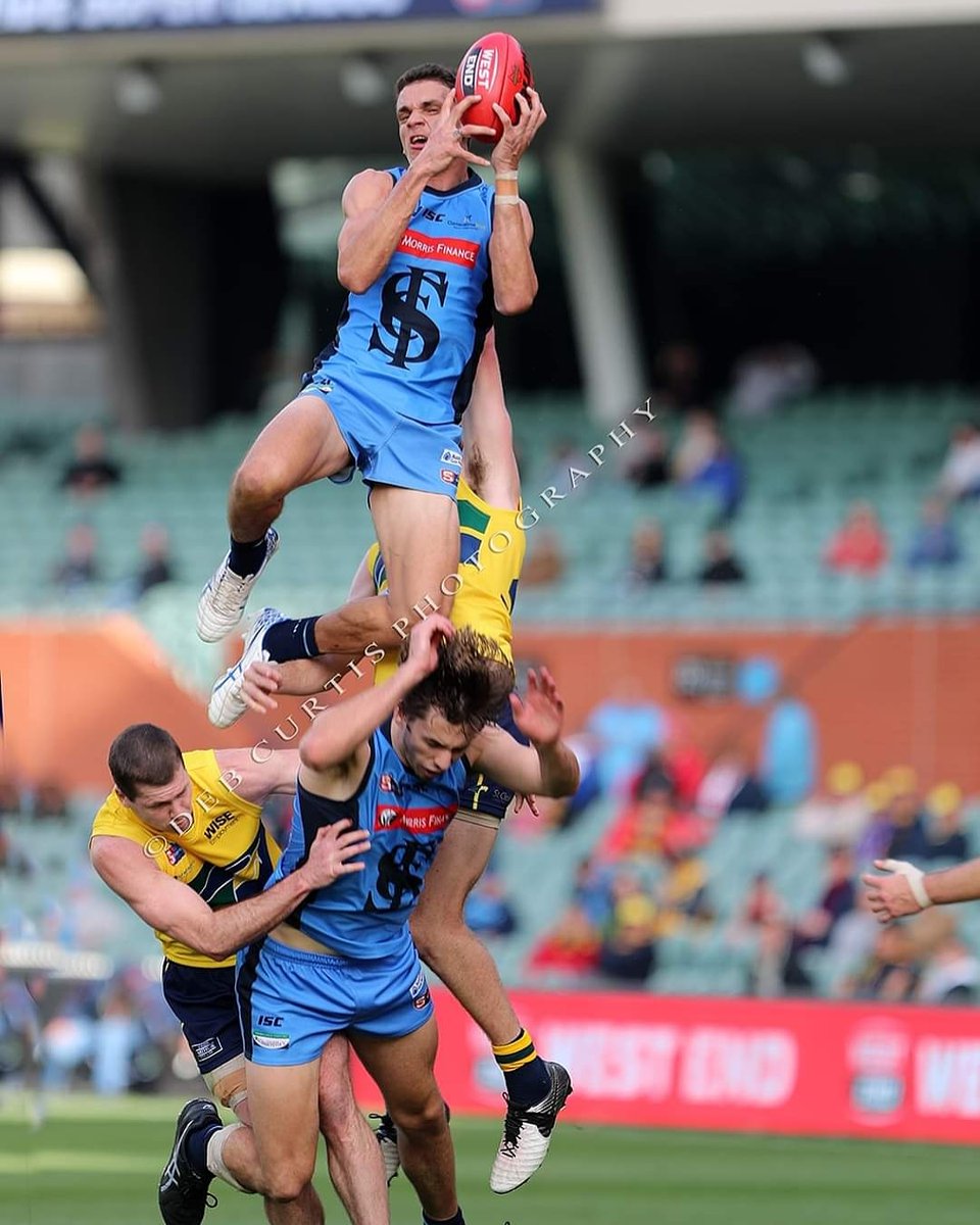 Toast - Best footy photos ever | Page 80 | BigFooty Forum