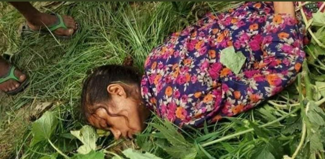 Ratan Chandra Halder (@iamratanhalder) | Twitter