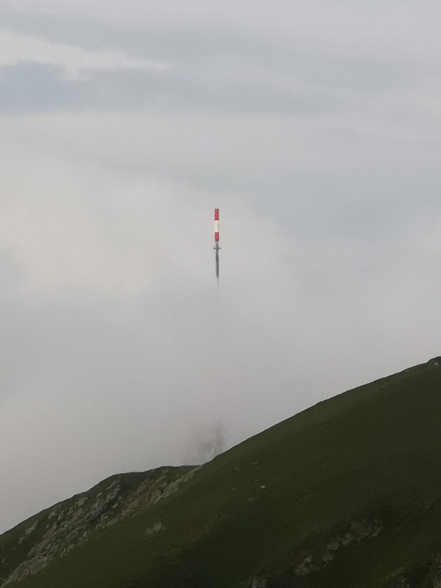 Subotic Petar (@P_Subotic) | Twitter