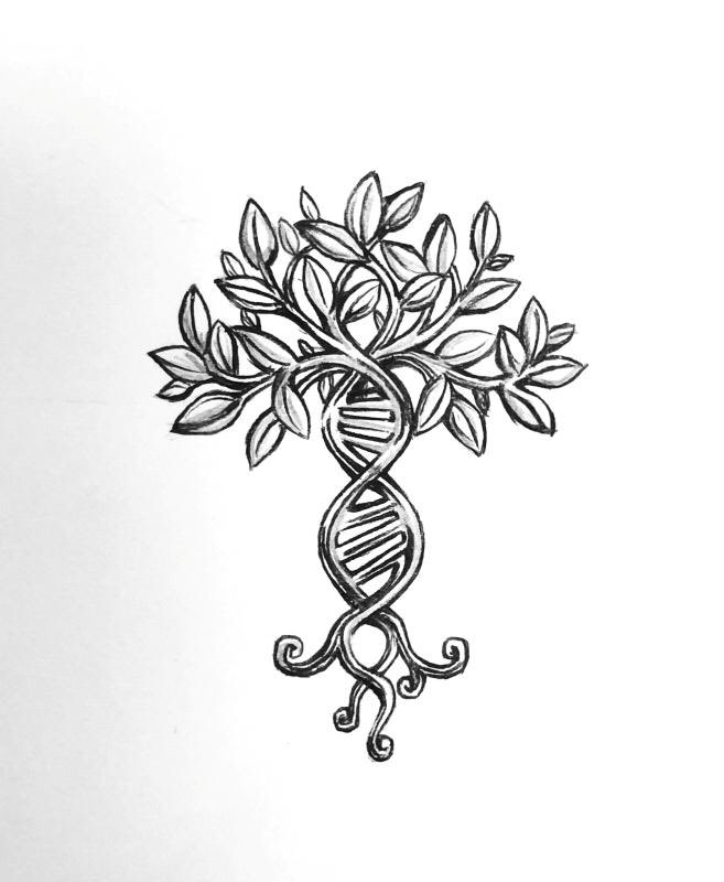 Dna Tree Drawing