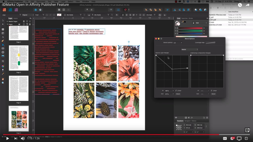 Affinity publisher vs indesign - leqwerbio