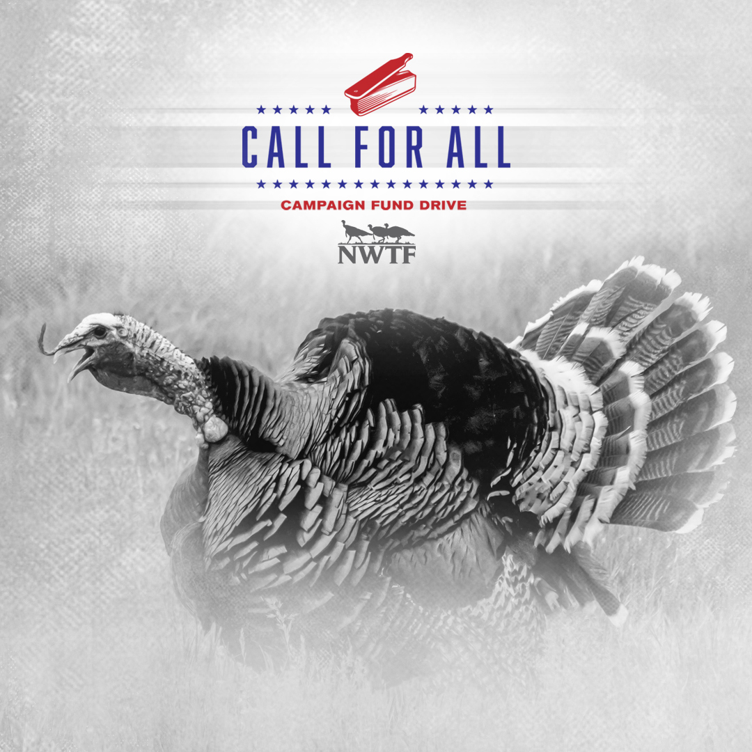 Nwtf Logo