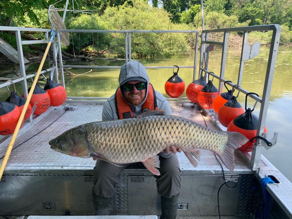 World Record Grass Carp
