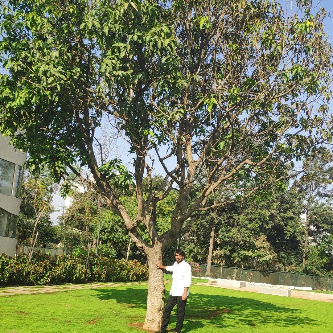 Nuthan Reddy (@the_nuthanreddy) | Twitter