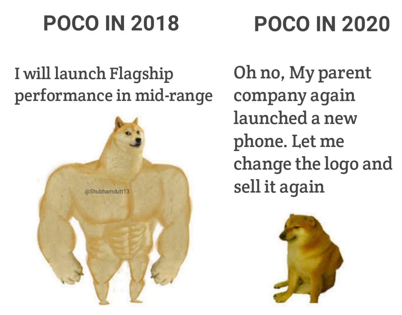 Poco Memes 47 Chihuahua Memes That Will Have You LOLing Great Pet