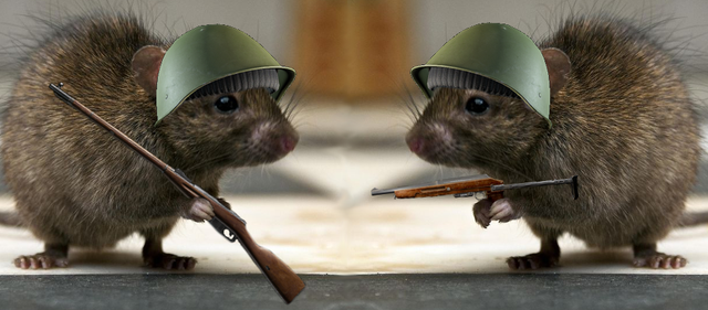 Best rats in video games? | Page 2 | ResetEra