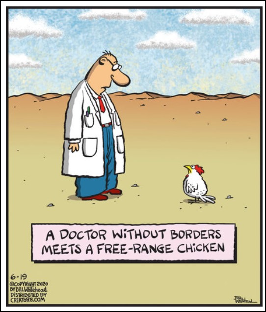 Funny Chicken Cartoons Jokes