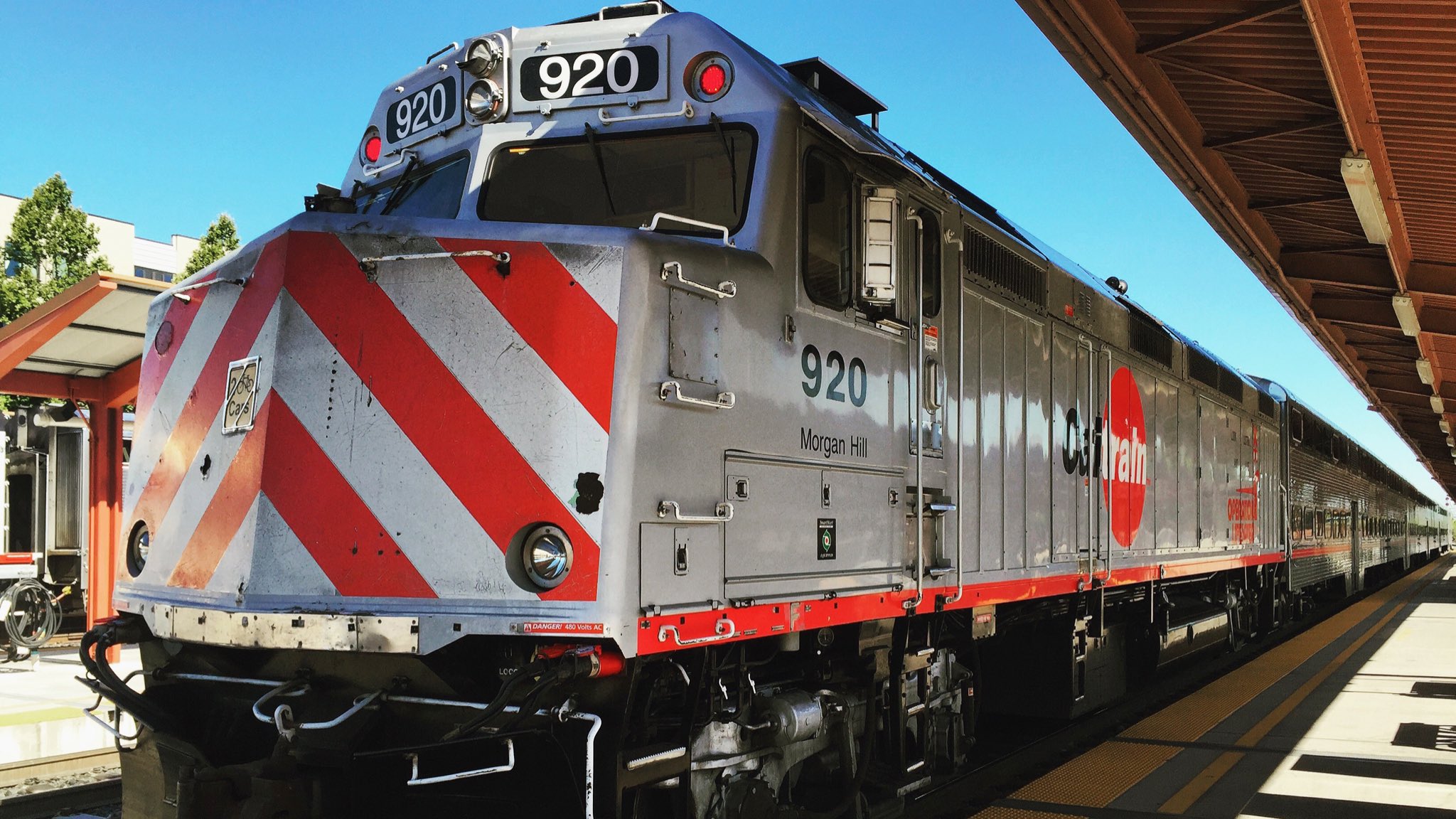 Does Caltrain Allow Dogs