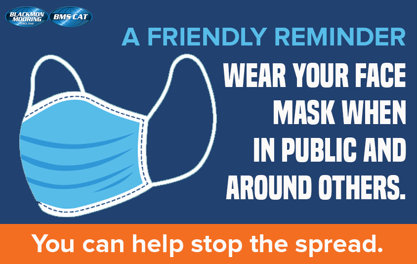 Friendly Reminder Cat