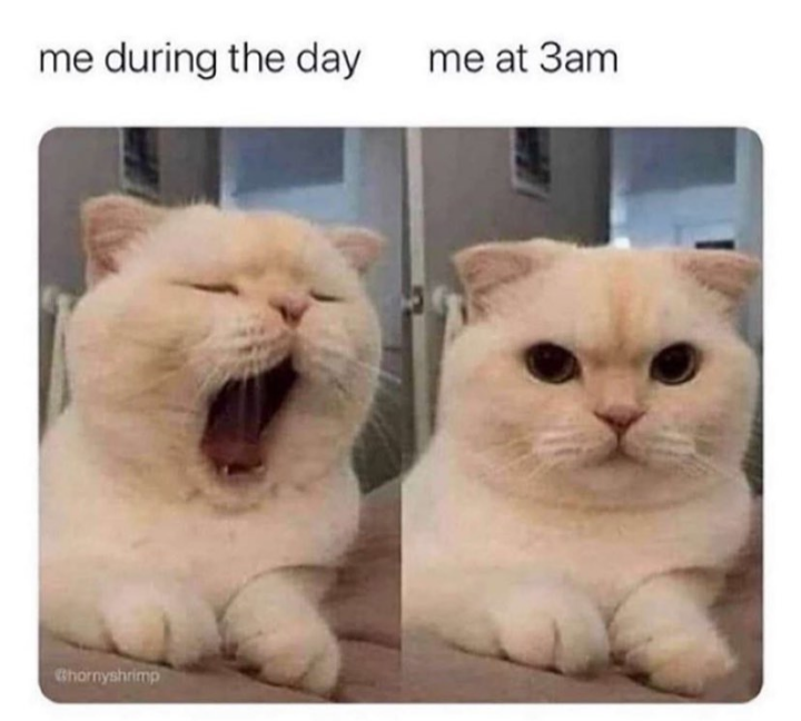 Who Still Awake Meme