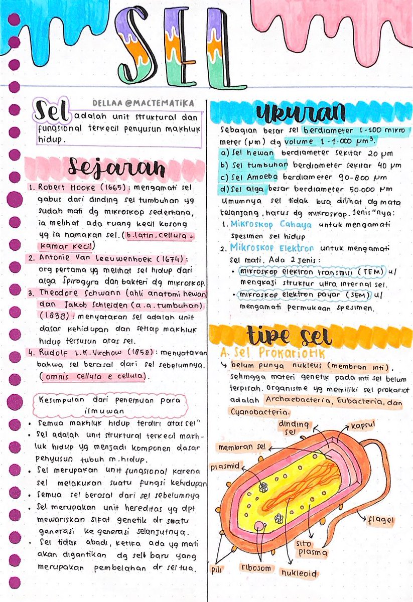 Materi Sel Kelas 11 - Perumperindo.co.id
