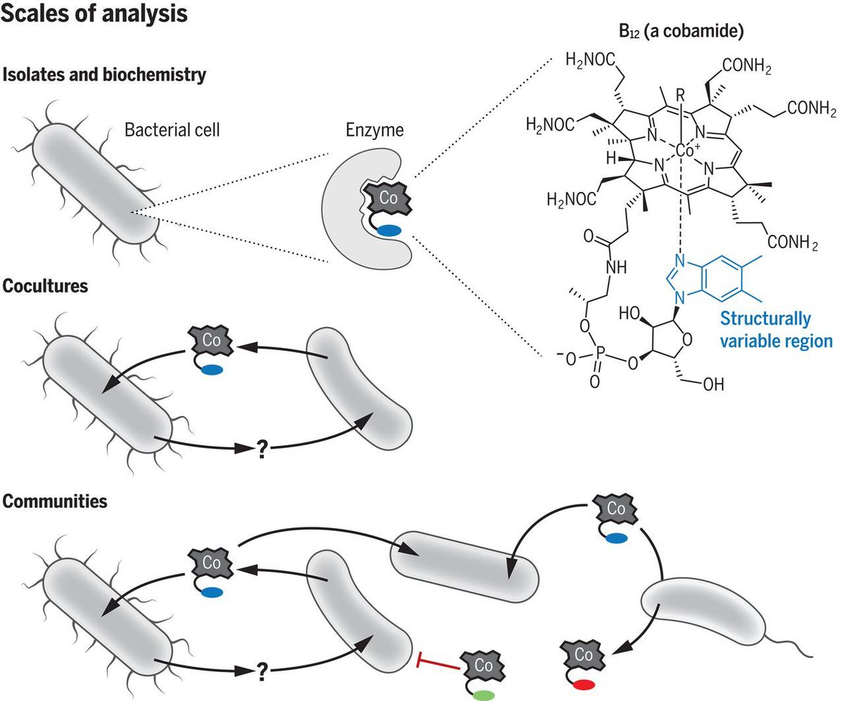 Diversity Of Microbial Metabolism