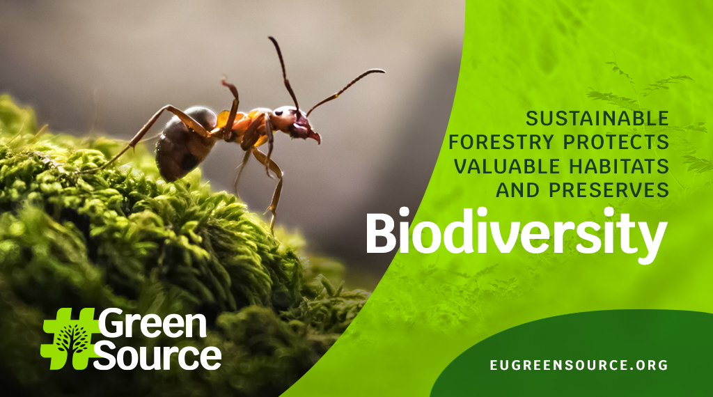 #Greensource - Climate Neutrality by Cepi and EPIS