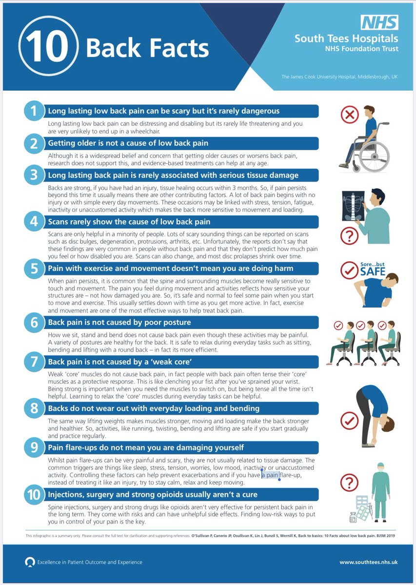 Back Facts Infographic