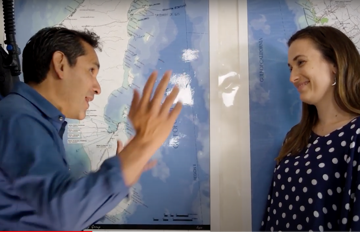 How can we restore the health of our oceans? In Wavelengths, a new ...