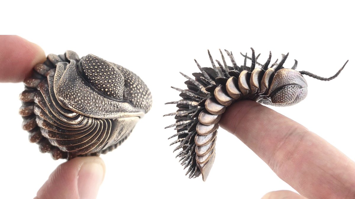 Trilobite Reconstruction