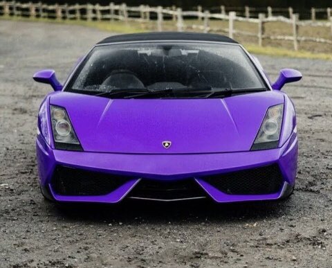 Purple Lamborghini Gallardo