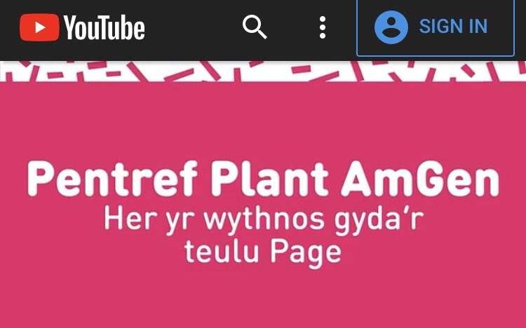 Dawnsio - Welsh Folk Dance Society