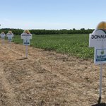 Burrus Seed - Hybrid Corn and Soybean Seed Products