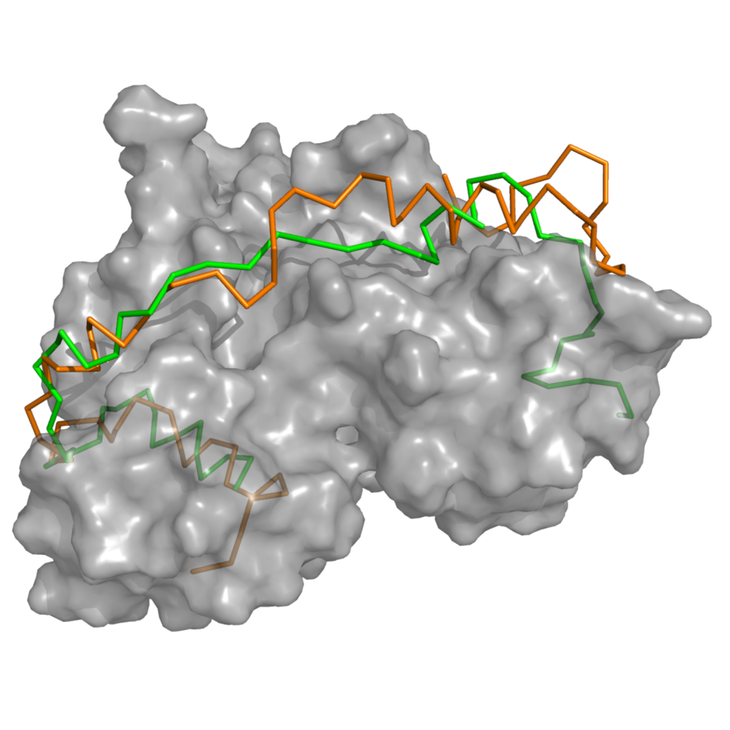 Kihara Laboratory on Twitter: "Second article in "Protein Structure Prediction": "Protein ...