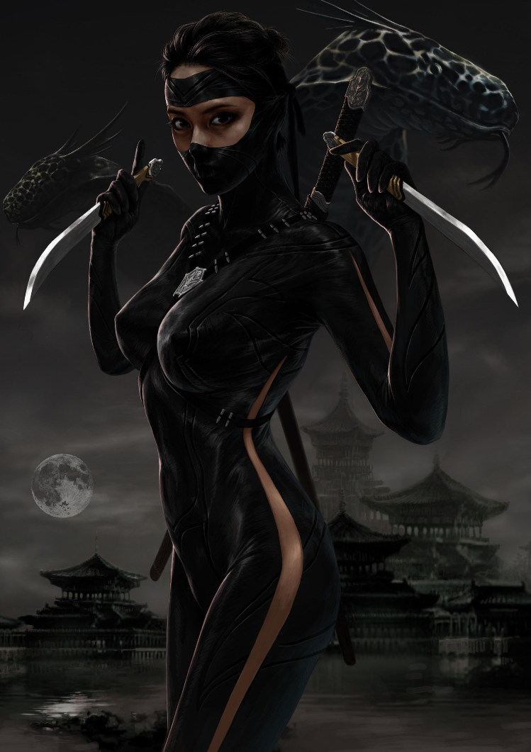 Fantasy Ninja Art