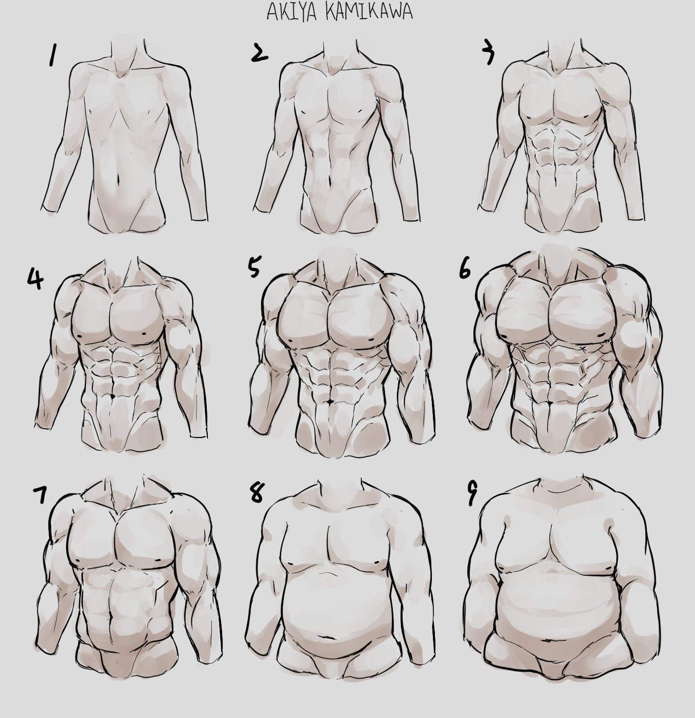 Male Torso Drawing Reference