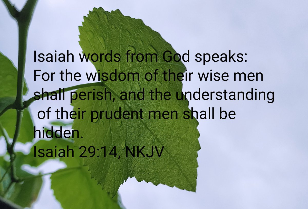 Adventist Manipur (@AdventistManipr) | Twitter