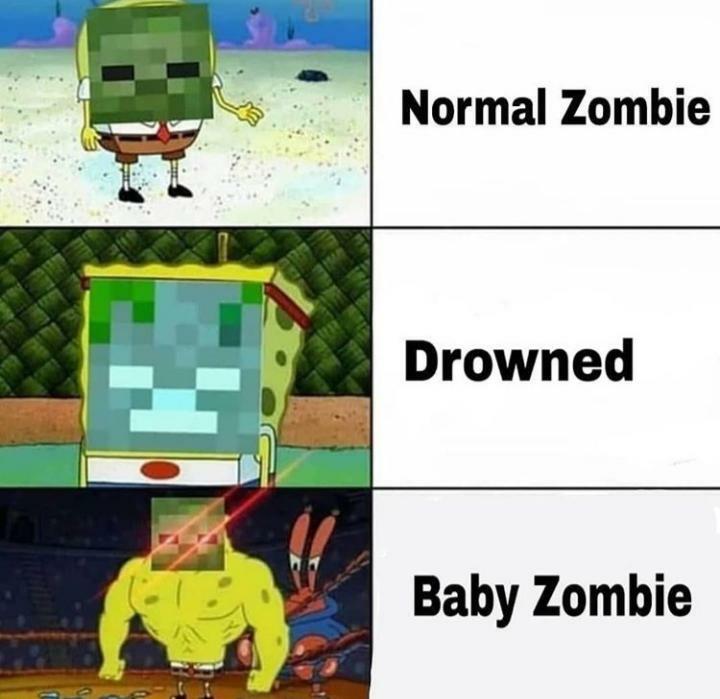 Minecraft Zombie Meme