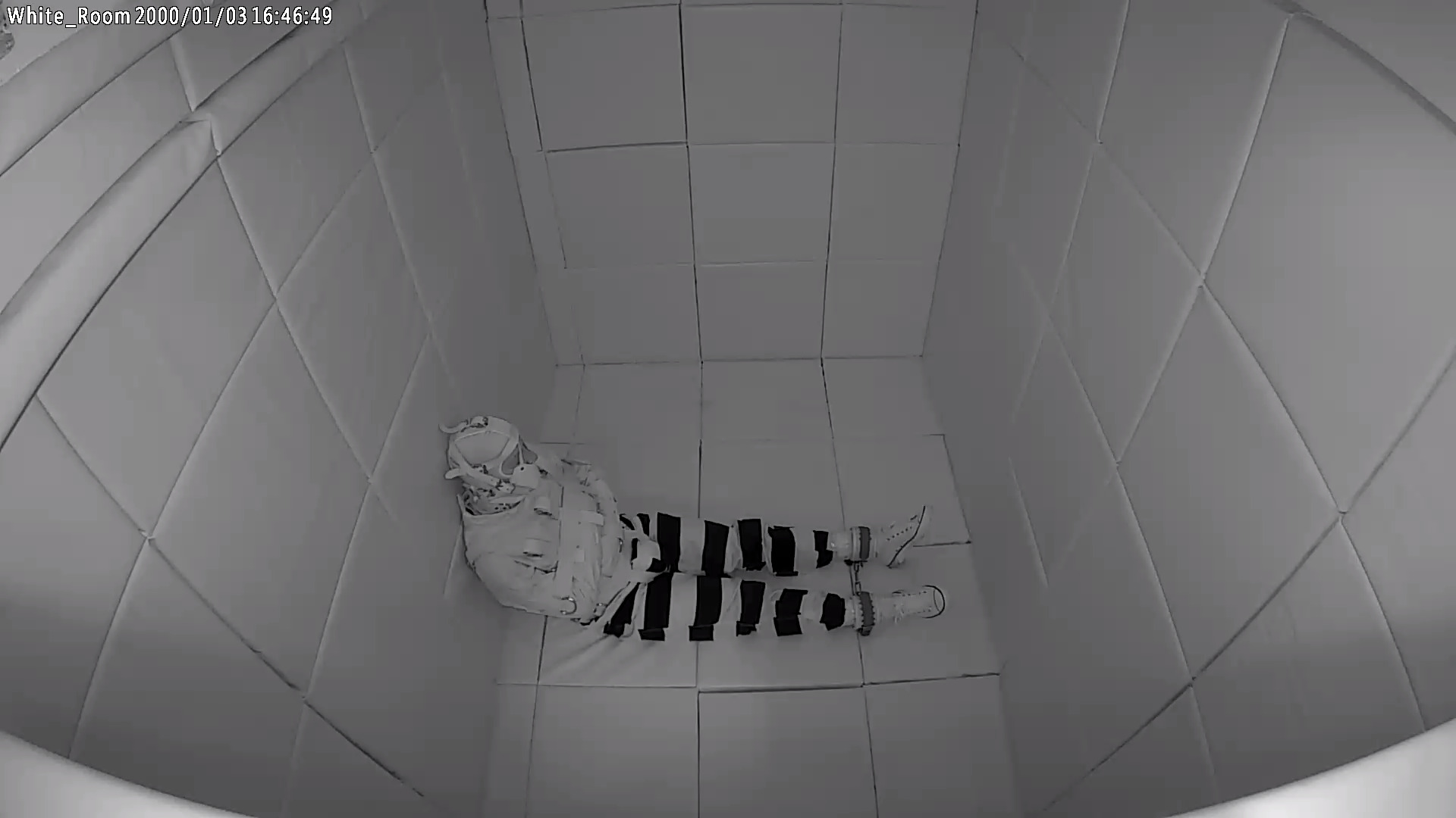 Padded Cell Straitjacket