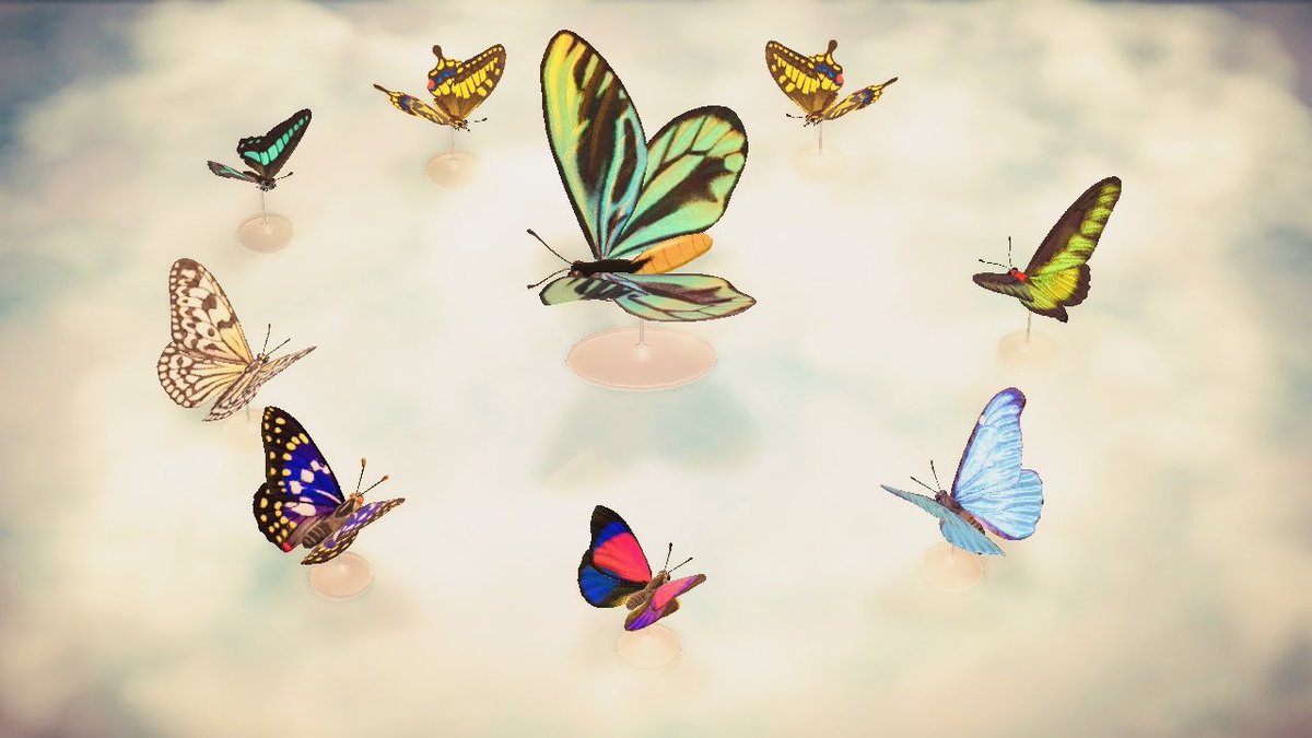 Butterfly Models