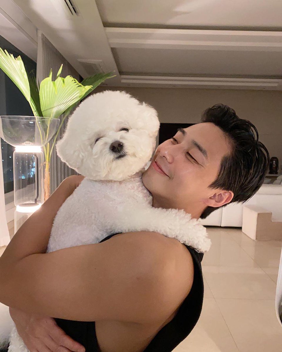 Who’s cuter? ?? LOOK: Park Seo-joon shares a picture of himself with ...