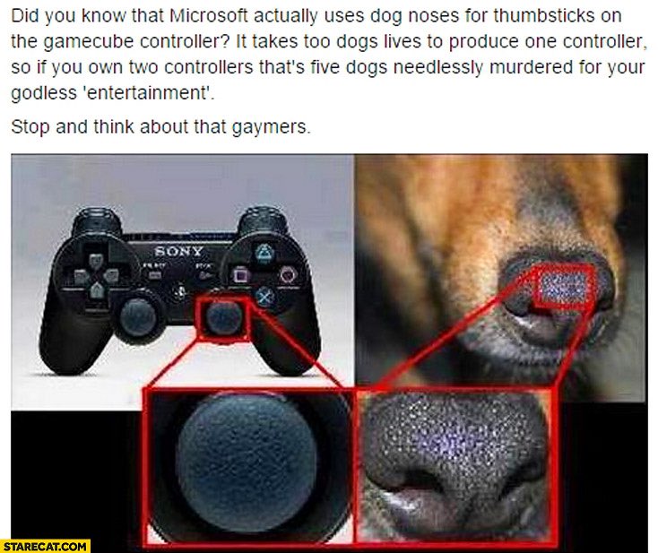 Are Dogs Noses Used To Make Playstation Controllers