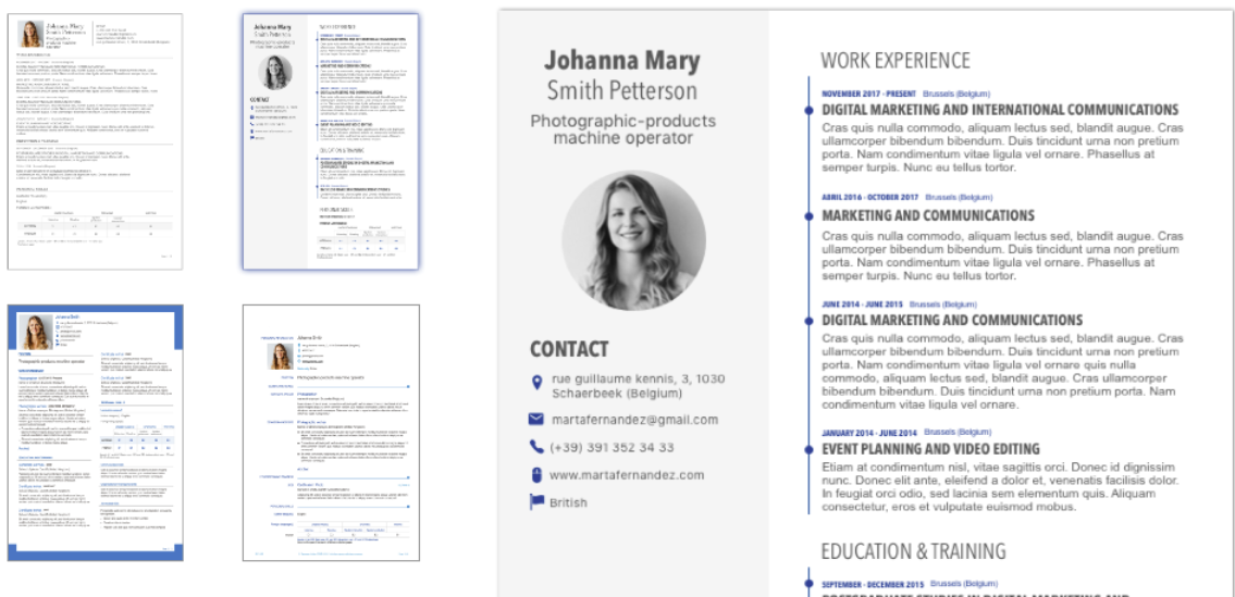 Europass Cv Latviski Untitled