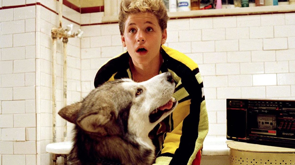 Toss some treats at these 10 heroic horror dogs | io9 | Scoopnest