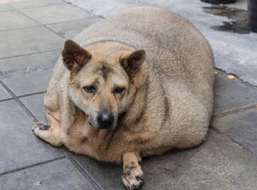 wintershooky🐻 (@yilanulala) | Twitter