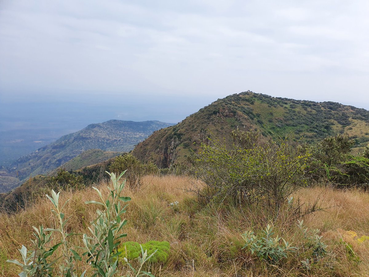 Joseph Ngugi (@1_jostar) | Twitter