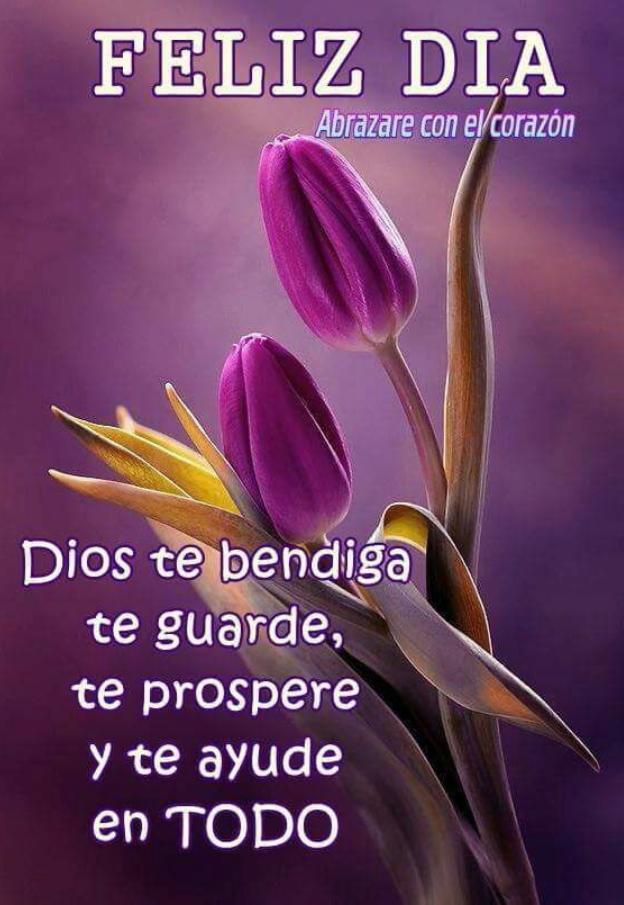 Dios Te Bendiga Y Te Guarde