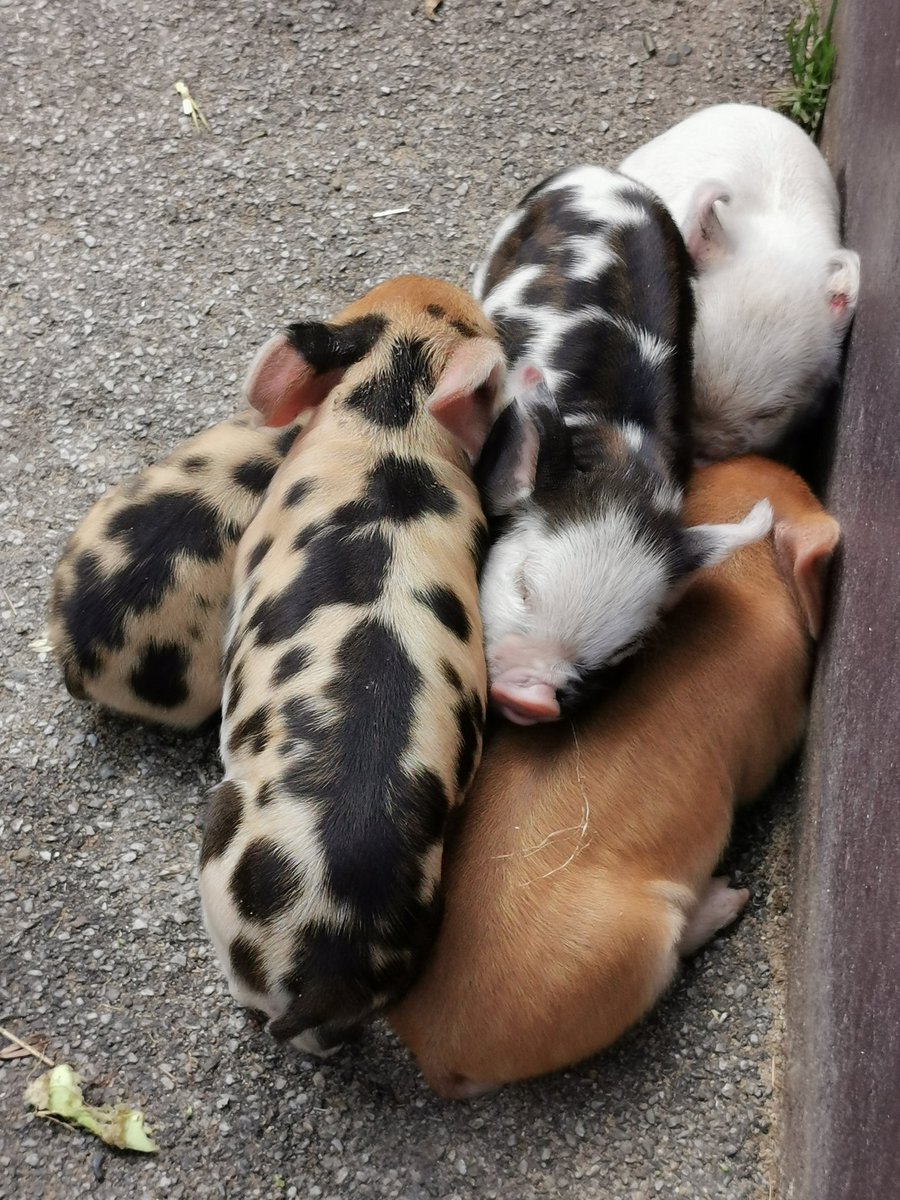 Flowmagic_official (@Flowmagic2) | Twitter