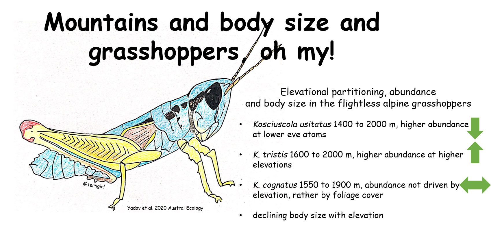 Labeled Grasshopper