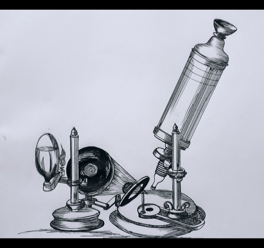 Hookes Microscope
