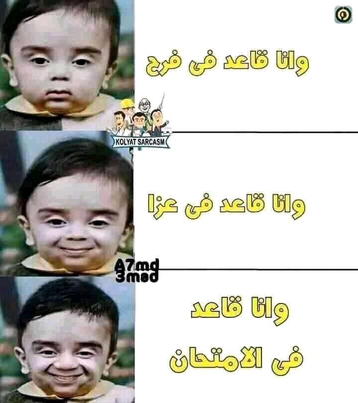 Arab Memes @arab_memess Timeline, The Visualized Twitter (Analytics)