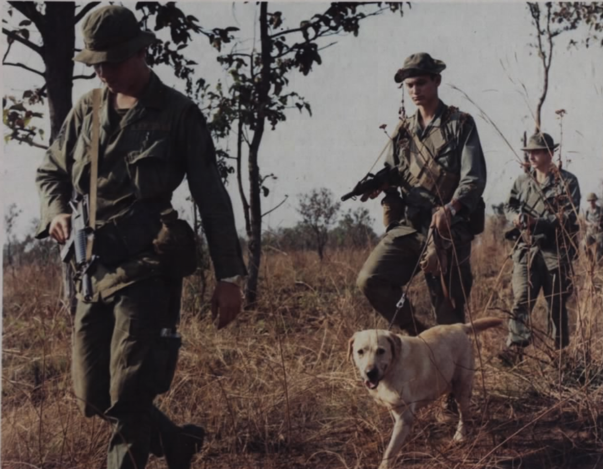 Dogs Used In Vietnam War The Dogs Of War – A Tribute To The MWD,