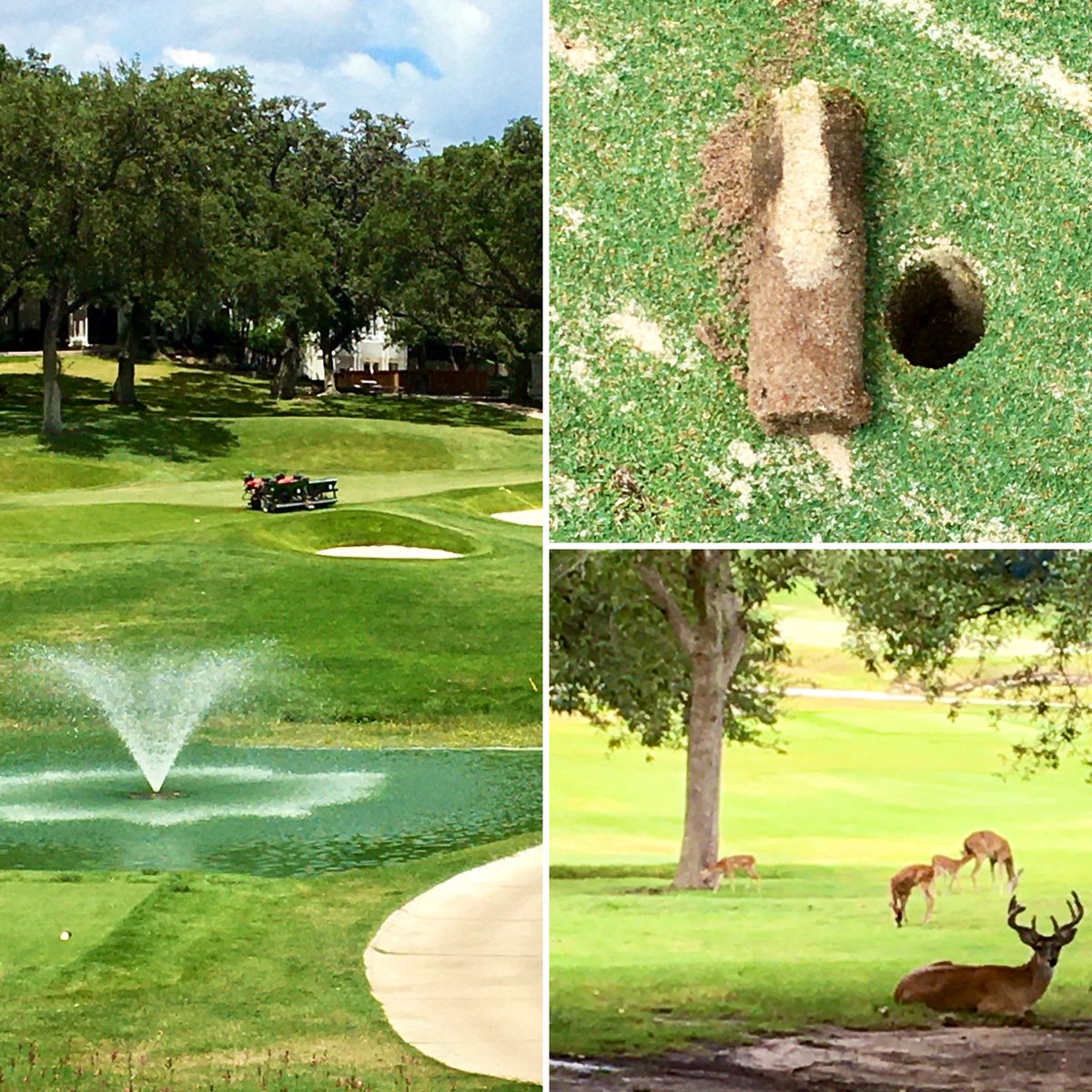 DryJect – The Only Machine in the World that Aerates, Topdresses, and ...