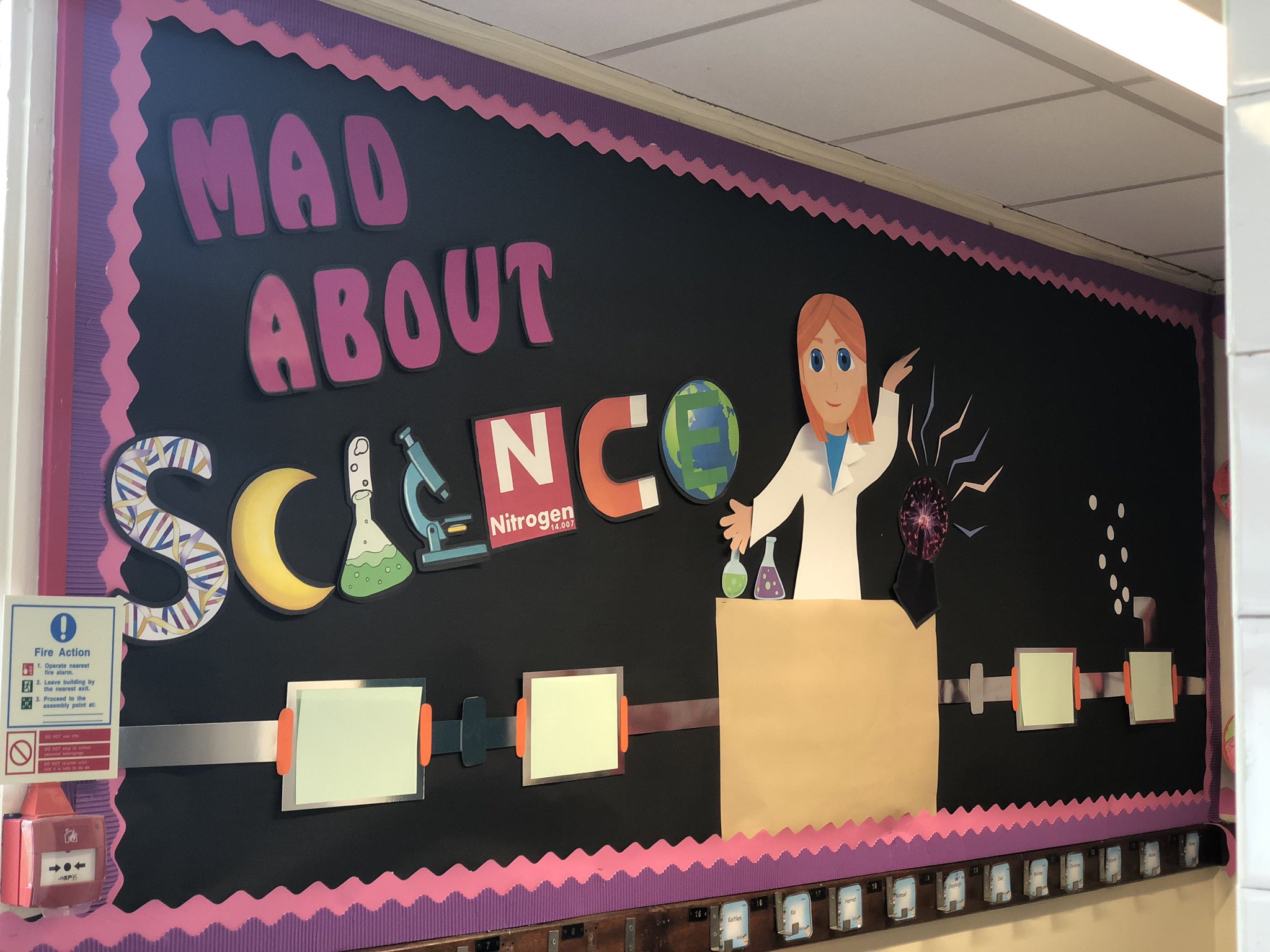 Science Display Ideas